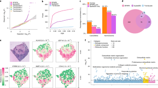Statistical analysis of spatial expression patterns for spatially resolved transcriptomic ...