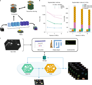 DeepCell Kiosk: scaling deep learning–enabled cellular image analysis ...