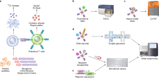 T cell antigen discovery | Nature Methods