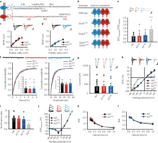 The C-terminal tails of endogenous GluA1 and GluA2 differentially ...