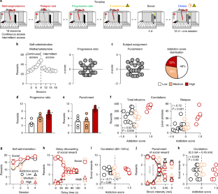 Volitional social interaction prevents drug addiction in rat models ...