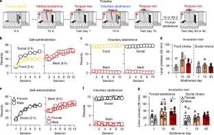 Volitional social interaction prevents drug addiction in rat models ...