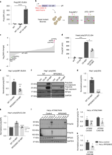 RPS25 is required for efficient RAN translation of C9orf72 and other ...
