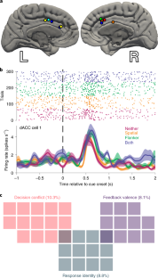 Widespread temporal coding of cognitive control in the human prefrontal ...