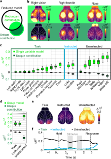 Single-trial neural dynamics are dominated by richly varied movements | Nature Neuroscience