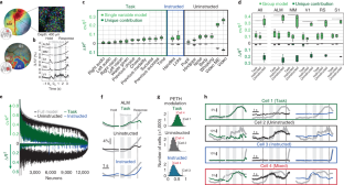Single-trial neural dynamics are dominated by richly varied movements | Nature Neuroscience