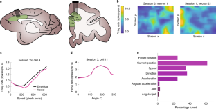 The neural basis of predictive pursuit | Nature Neuroscience