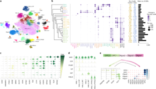 Single-nucleus transcriptomics of the prefrontal cortex in major ...