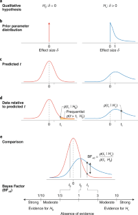 Using Bayes factor hypothesis testing in neuroscience to establish ...