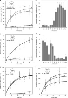 Cryo-EM structure of the human neutral amino acid transporter ASCT2 ...