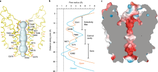 Structure and gating mechanism of the transient receptor potential ...