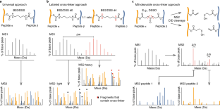 Cross-linking mass spectrometry: methods and applications in structural ...