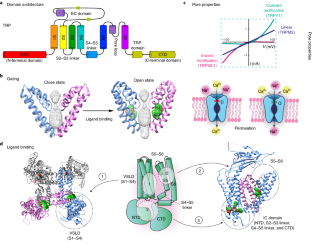 Organellar TRP channels | Nature Structural & Molecular Biology