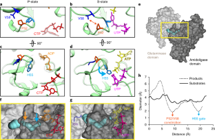 Coupled structural transitions enable highly cooperative regulation of ...