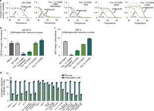 Defining the landscape of ATP-competitive inhibitor resistance residues ...