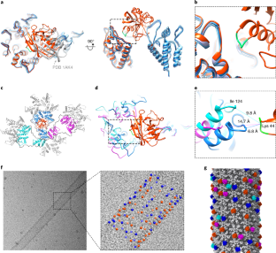Intrinsic curvature of the HIV-1 CA hexamer underlies capsid topology ...