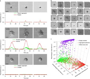 High-throughput imaging flow cytometry by optofluidic time-stretch ...