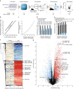 High-throughput and high-sensitivity phosphoproteomics with the ...
