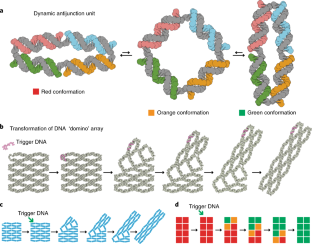 Design and operation of reconfigurable two-dimensional DNA molecular ...