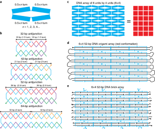 Design and operation of reconfigurable two-dimensional DNA molecular ...