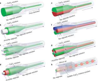Design of capillary microfluidics for spinning cell-laden microfibers ...
