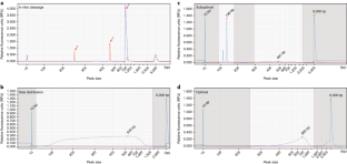 Defining CRISPR–Cas9 genome-wide nuclease activities with CIRCLE-seq ...
