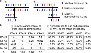 A cross-linking/mass spectrometry workflow based on MS-cleavable cross ...
