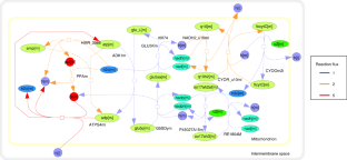 Creation and analysis of biochemical constraint-based models using the ...