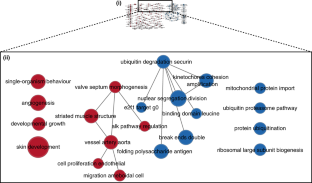 Pathway enrichment analysis and visualization of omics data using g ...