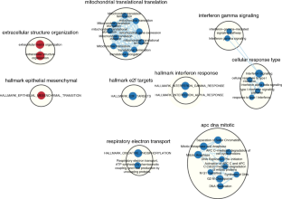 Pathway enrichment analysis and visualization of omics data using g ...