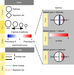 Pathway enrichment analysis and visualization of omics data using g ...