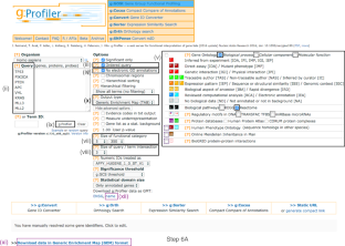 Pathway enrichment analysis and visualization of omics data using g ...