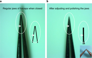 A non-enzymatic method for dissection of mouse bladder urothelial ...