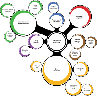Cellular thermal shift assay for the identification of drug–target ...