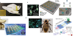 Organic electronics for neuromorphic computing | Nature Electronics