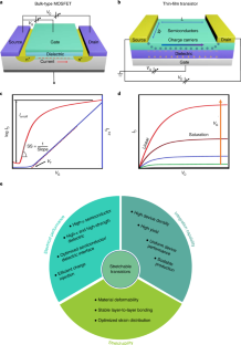 Stretchable transistors and functional circuits for human-integrated ...