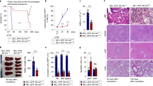 Critical role of ASCT2-mediated amino acid metabolism in promoting ...