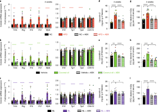 Excess calorie intake early in life increases susceptibility to colitis ...
