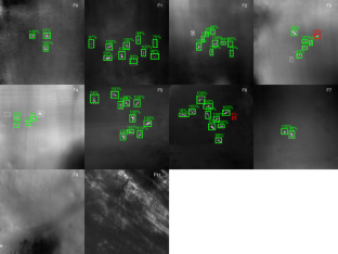 Search and rescue with airborne optical sectioning | Nature Machine Intelligence