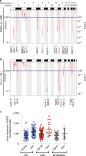 The serine hydroxymethyltransferase-2 (SHMT2) initiates lymphoma ...