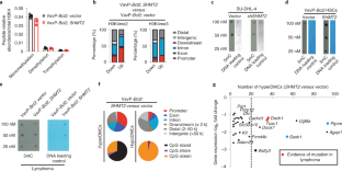 The serine hydroxymethyltransferase-2 (SHMT2) initiates lymphoma ...