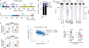 The serine hydroxymethyltransferase-2 (SHMT2) initiates lymphoma ...