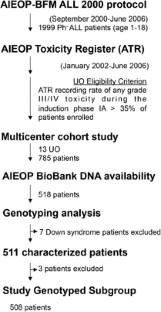 Pharmacogenetics and induction/consolidation therapy toxicities in ...