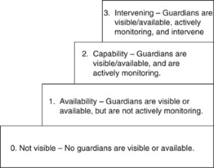 What makes a guardian capable? A test of guardianship in action ...