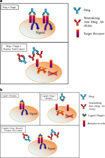 Strategies to Determine Assay Format for the Assessment of Neutralizing ...