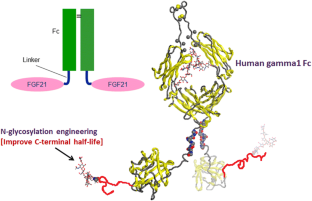 Characterization and Quantification of an Fc-FGF21 Fusion Protein in ...