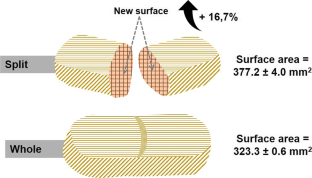 The Influence of Matrix Technology on the Subdivision of Sustained ...