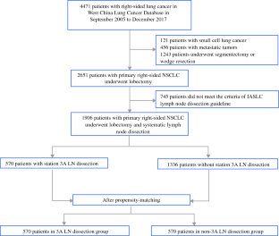 Clinical Significance of Station 3A Lymph Node Dissection in Patients ...