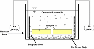 Development of bio-cemented constructional materials through microbial ...