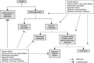 Mechanisms of NSAID-Induced Hepatotoxicity | SpringerLink